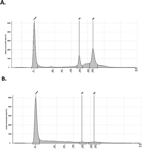 Fig 1 [rna Quality Assessment By Bioanalyzer ] Immunogenetics