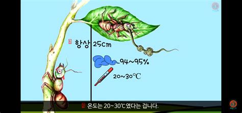 벌레주의 의외로 우리 생각보다 더 무서운 동충하초의 비밀 촬스의 이슈와 유머