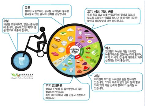 [식품정보] 간단하게 짚어보는 식품 구성 자전거 네이버 블로그