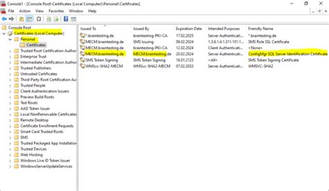 Re Create Configmgr Sql Server Indentification Certificate