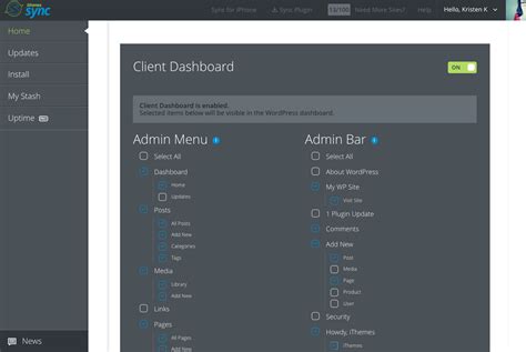 Control What Clients See In The WordPress Dashboard IThemes Sync