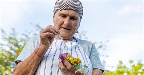 Najmočnejši naravni antibiotik se nahaja v tej rastlini Zdravje