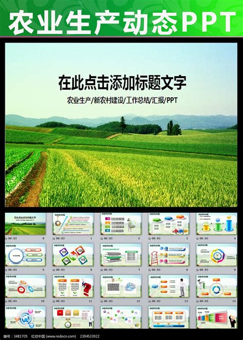 农业生产水稻播种新农村建设ppt下载红动中国