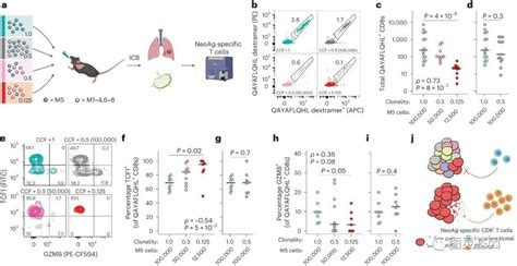 Nat Genetics 免疫治疗失败与肿瘤内异质性相关 知乎