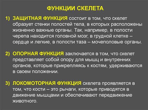 Опорно-двигательный аппарат - презентация онлайн