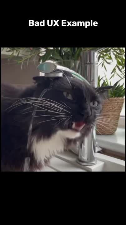 Shilpa Gaikwad On Linkedin Uiux Ux Design Userexperience Goodux Badux Designtips Video