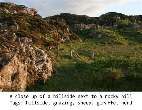 Do Neural Nets Dream Of Electric Sheep AI