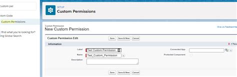 salesforce code crack how to check current user has a custom