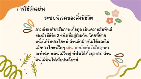 การเขียนบรรยาย อธิบาย พรรณนา เรียนรู้ 3 การเขียนที่สำคัญในยุคปัจจุบัน