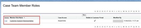 Salesforce Case Teams