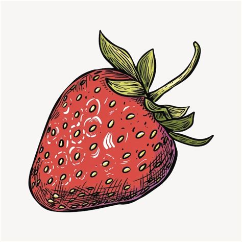 Premium Vector Handdrawn Strawberry Fruit Illustration