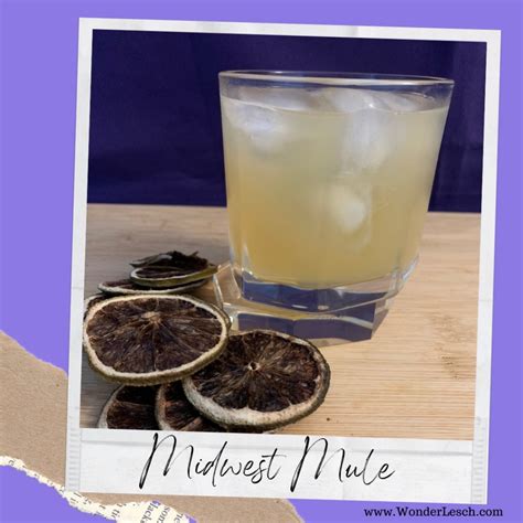 Best Illinois Themed Cocktails Wonderlesch Blog