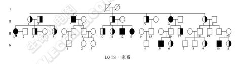 附图 长QT综合征QT间期延长综合征LQTS 心血管综合征学 天山医学院