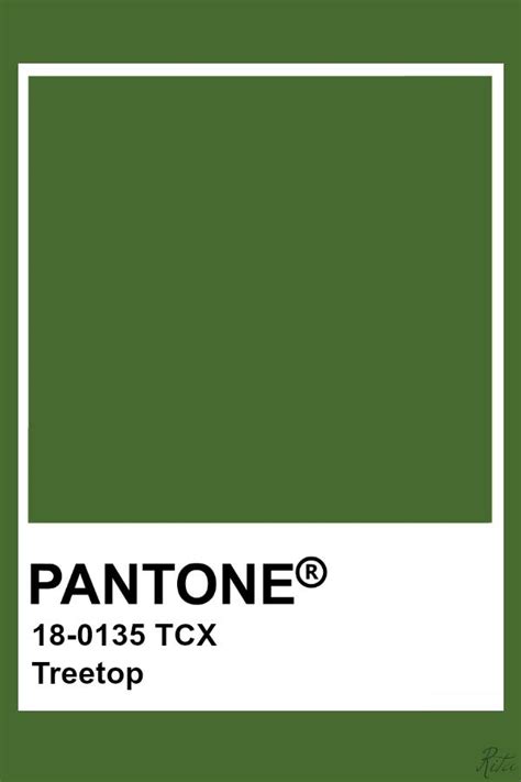 Pantone Treetop Pantone Green Pantone Color Pantone Colour Palettes