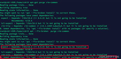 安装vim报错vim Depends Vim Runtime 2812269 1ubuntu57 But It Is