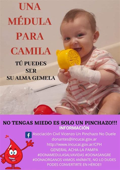 Su Hijo De 5 Años Murió De Leucemia Y Ahora Buscan Un Donante De Médula