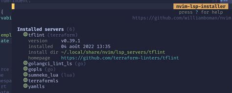[question] how to enable tflint · issue 42 · lunarvim launch nvim