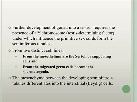 Testicular Tumor Imaging Pptx