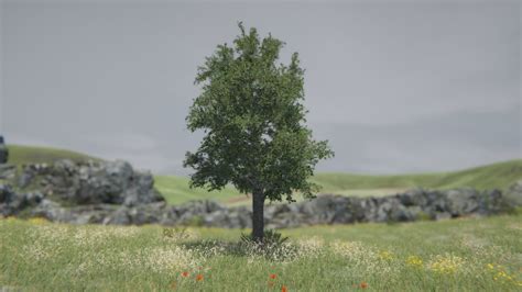 Tree Simulator 2021 On Steam