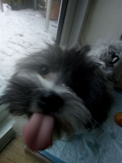 Poppy Stewart Popcornpixie Twitter