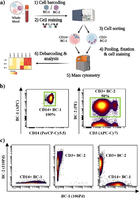 Compatibility Of Developed Hybrid Tag Nanotrackers With Heterogeneous Download Scientific