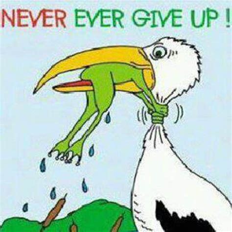 Never Give Up Inspirational Quotes Quotesgram