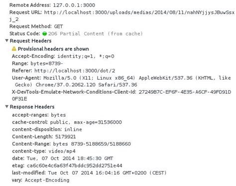 Javascript Has Anyone Met This Weird Html5 Video Playback Issue