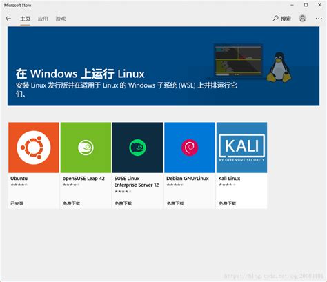 Windows 10 安装 Linux 子系统（windows Subsystem For Linux）windos Store 里找不到