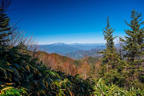 森林中惠那山山顶的样子是这里的照片素材免抠元素模板下载 图巨人