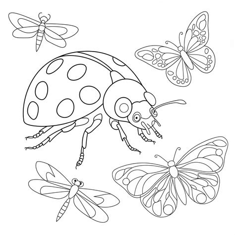 Normalan Kukci Bojanje Coloringlib