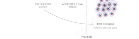 Schematic Representation Of Clonal Evolution During The Development Of