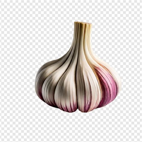 신선한 마늘 Png 투명한 배경 프리미엄 Psd에 분리 프리미엄 Psd 파일