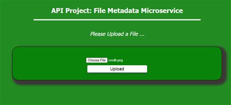 github robertamanta file metadata microservice