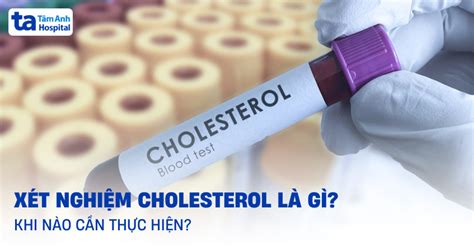 Chỉ Số Hdl Cholesterol Là Gì Trong Máu Bao Nhiêu Là Bình Thường