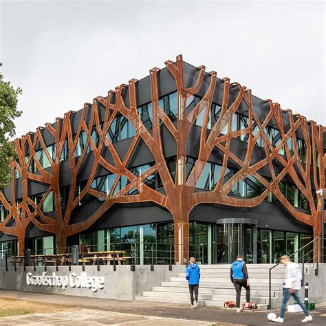 Tree Facade 73 Photo