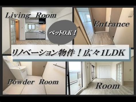 リノベーション物件閑静な住宅街1LDKタイプ レガオコート香里園 YouTube