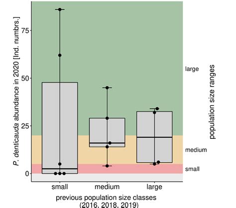 P Denticauda Individual Numbers Counted In The Study Year 2020 In
