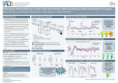 Pdf Interrupting Working Memory Frontal Theta And Posterior Alpha Oscillations Reflect