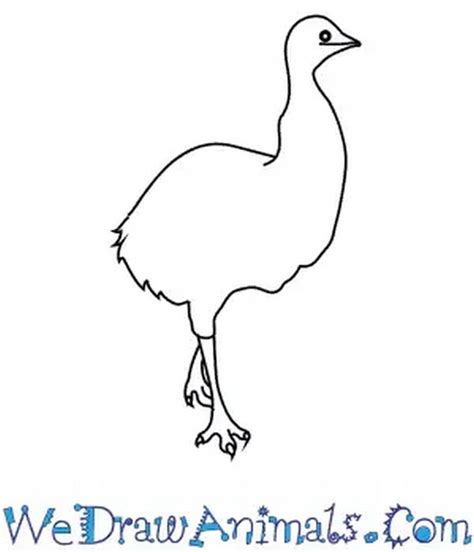 Emu Drawing Ideas How To Draw Emu Diyscraftsy