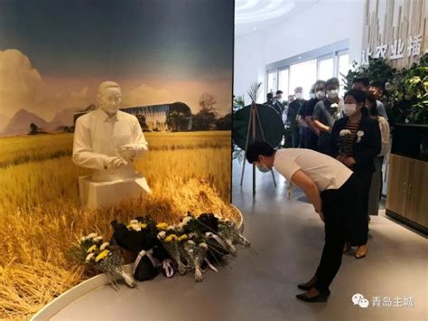 三千里寄哀思，青岛各界送别袁隆平澎湃号·政务澎湃新闻 The Paper