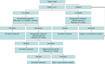 Internet Scientific Publications