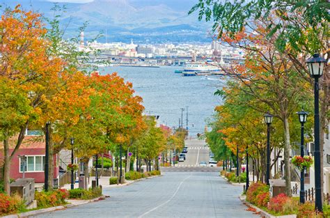 北海道函館市でおすすめのペンション5選自然に囲まれながらのんびり滞在 おすすめ旅行を探すならトラベルブック TravelBook
