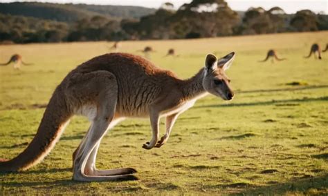 Do Toads Lay Eggs On Land A Detailed Look At Toad Reproduction Berry Patch Farms