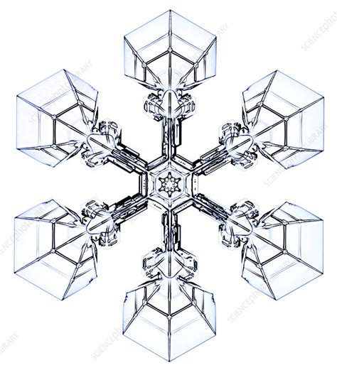 Snowflake Light Micrograph Stock Image C025 5929 Science Photo