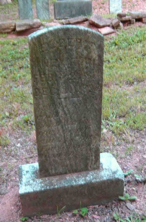 Cline Daniel And Newton Famlies Descendant And Related Families Elbert