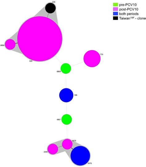 minimum spanning tree mst obtained from mlst results size of the