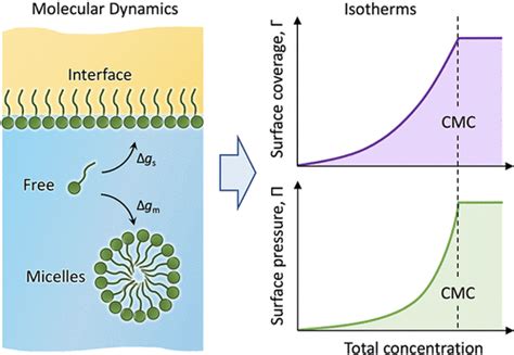Interface Adsorption Versus Bulk Micellization Of Surfactants Insights From Molecular