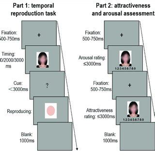 The Procedure Of Experiment 1 Schematic Illustration Of The Temporal Download Scientific