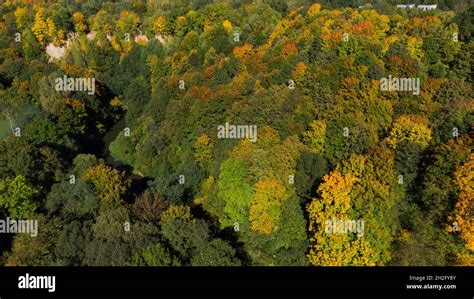 Bird S Eye View Of A Dense Forest With Colorful Trees Stock Photo Alamy