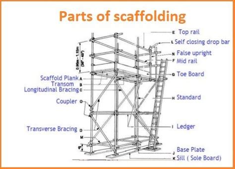Scaffolding Parts Name RLS HUMAN CARE